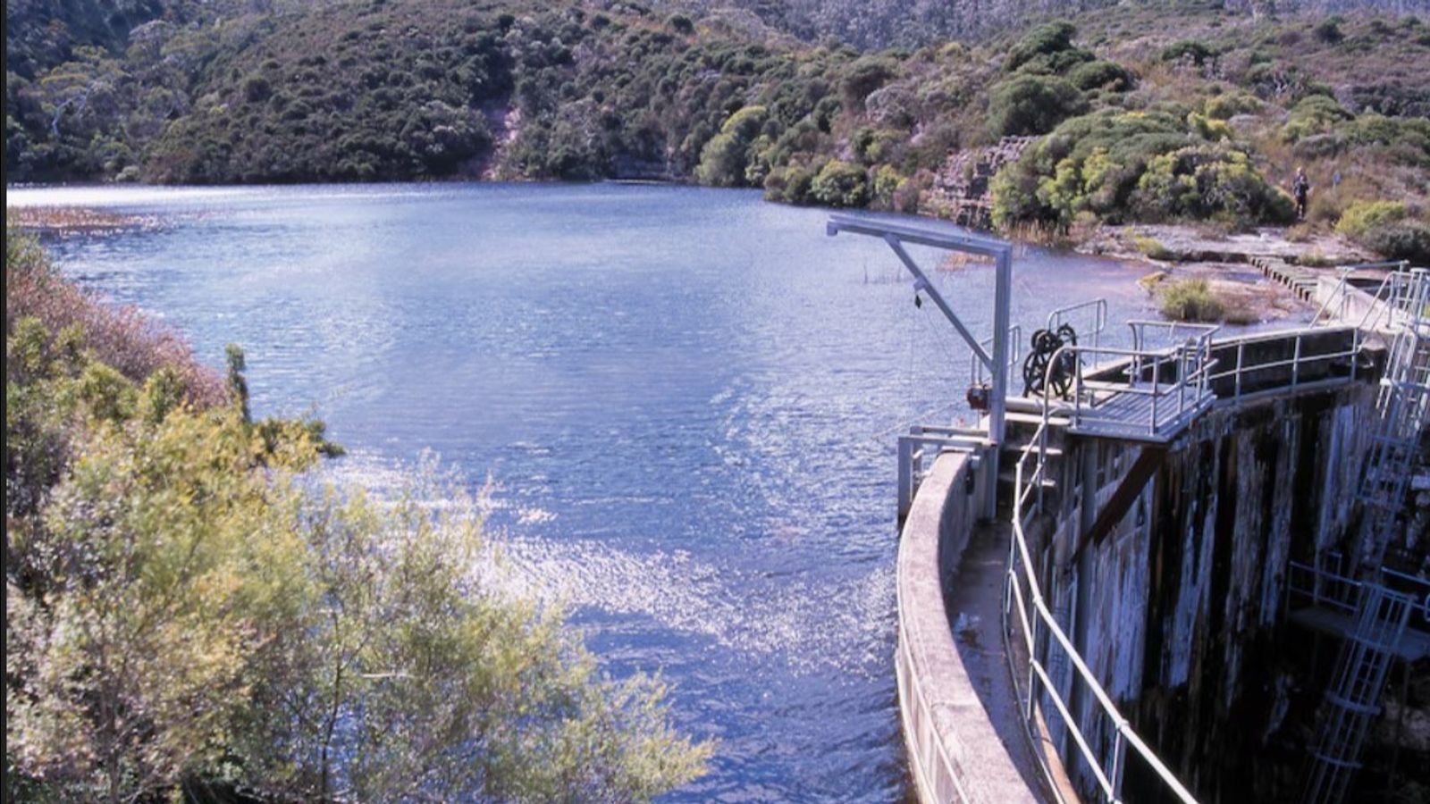 Australian study reveals extent of PFAS contamination in Sydney ...