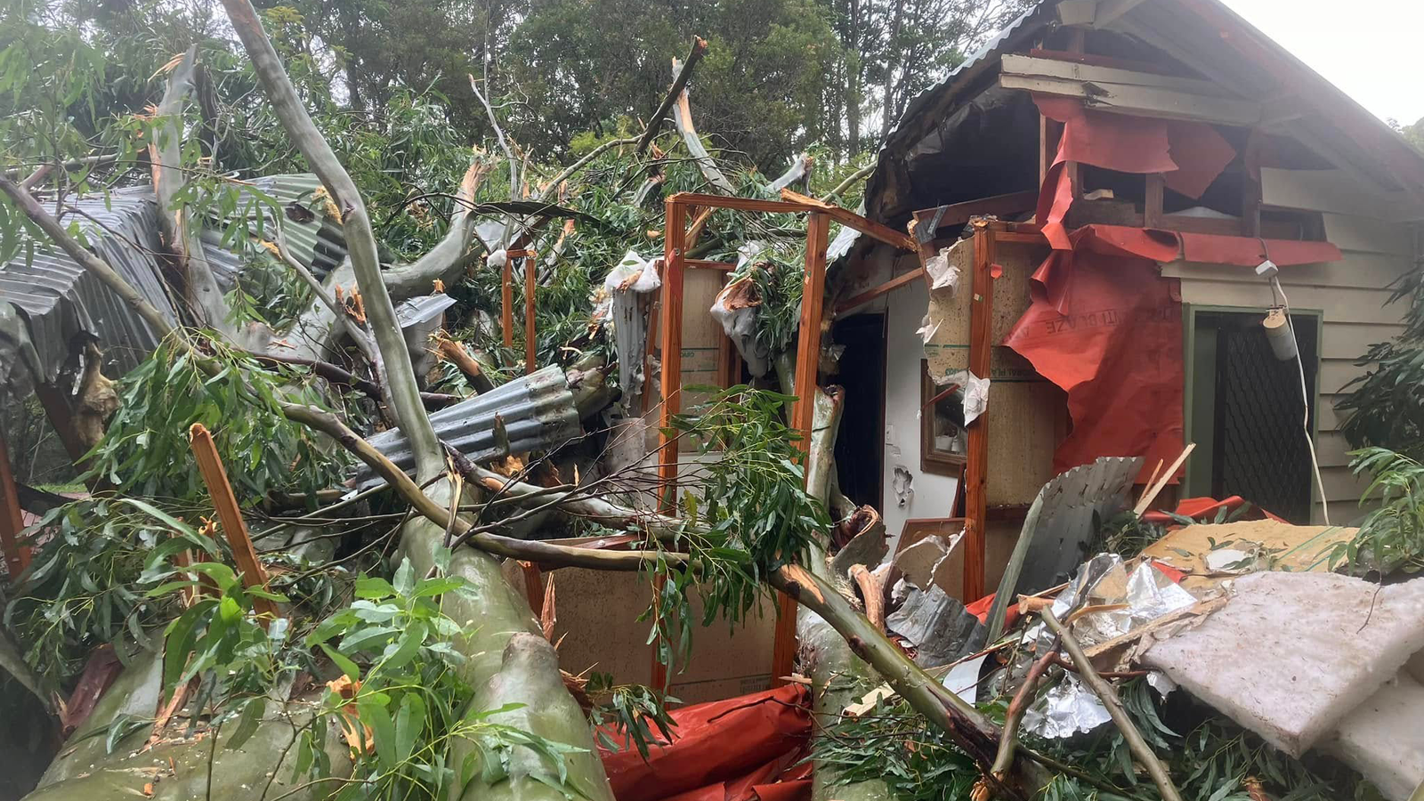 Australia: Cyclone Alfred exposes government failures - World Socialist ...