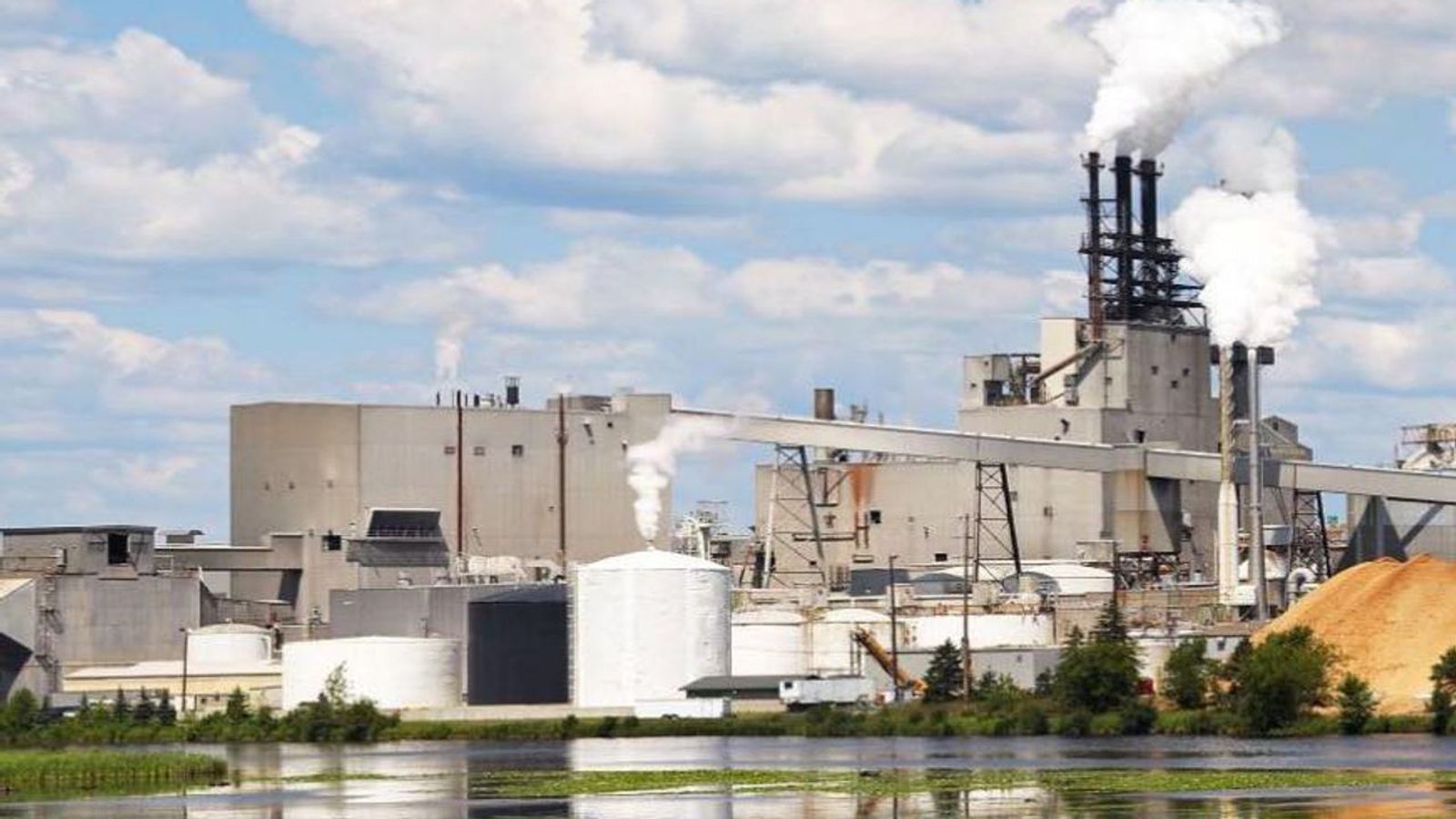 Almost 100 workers infected by rare fungal disease at paper mill in ...