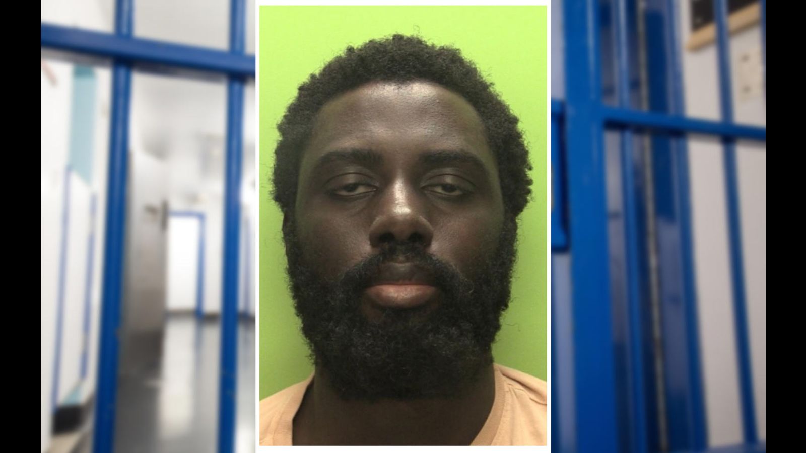 Review into Nottingham killings by mentally ill man ignores decades ...