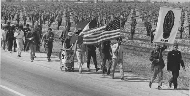 Fifty years since the Delano to Sacramento march: The myth of Cesar ...