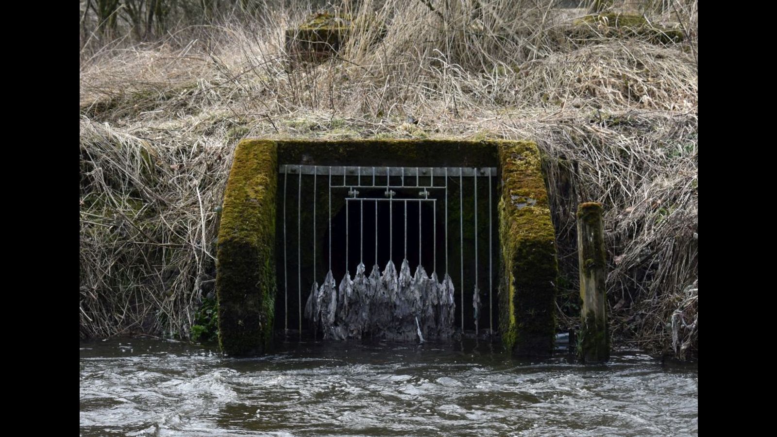 Thames Water online map confirms appalling sewage pollution in UK ...