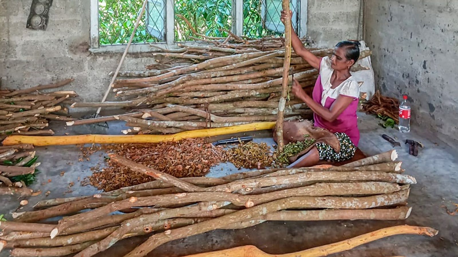 Sri Lankan cinnamon farmers and workers discuss worsening social ...