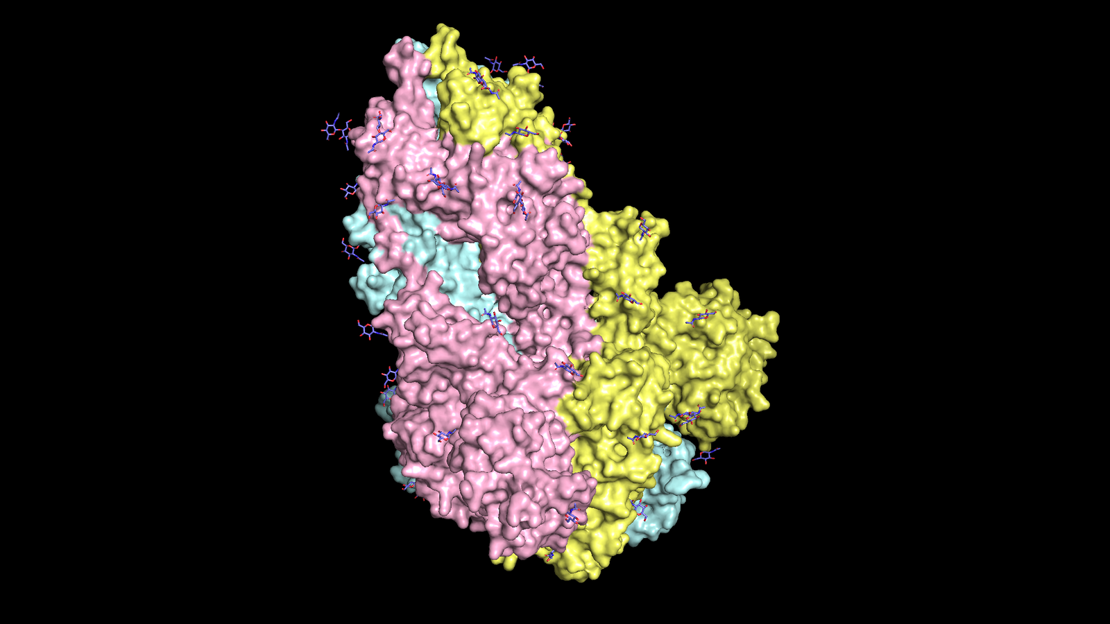 Michelle rabbit only telegram perhaps the extremely