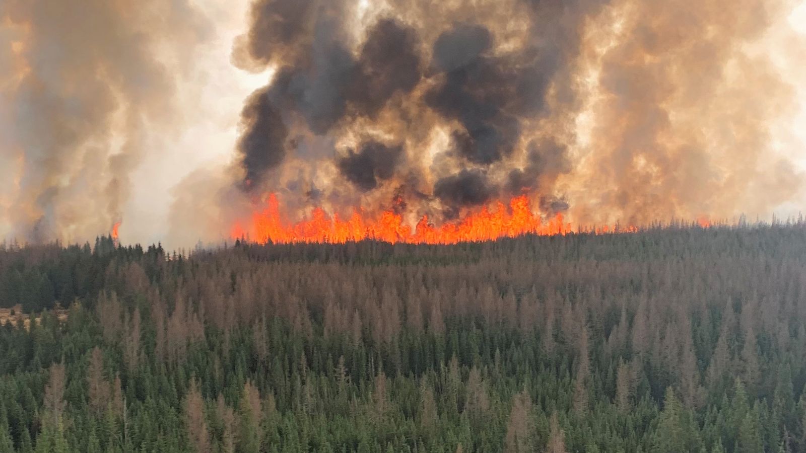 A quarter of Canadians report being impacted by record-breaking ...