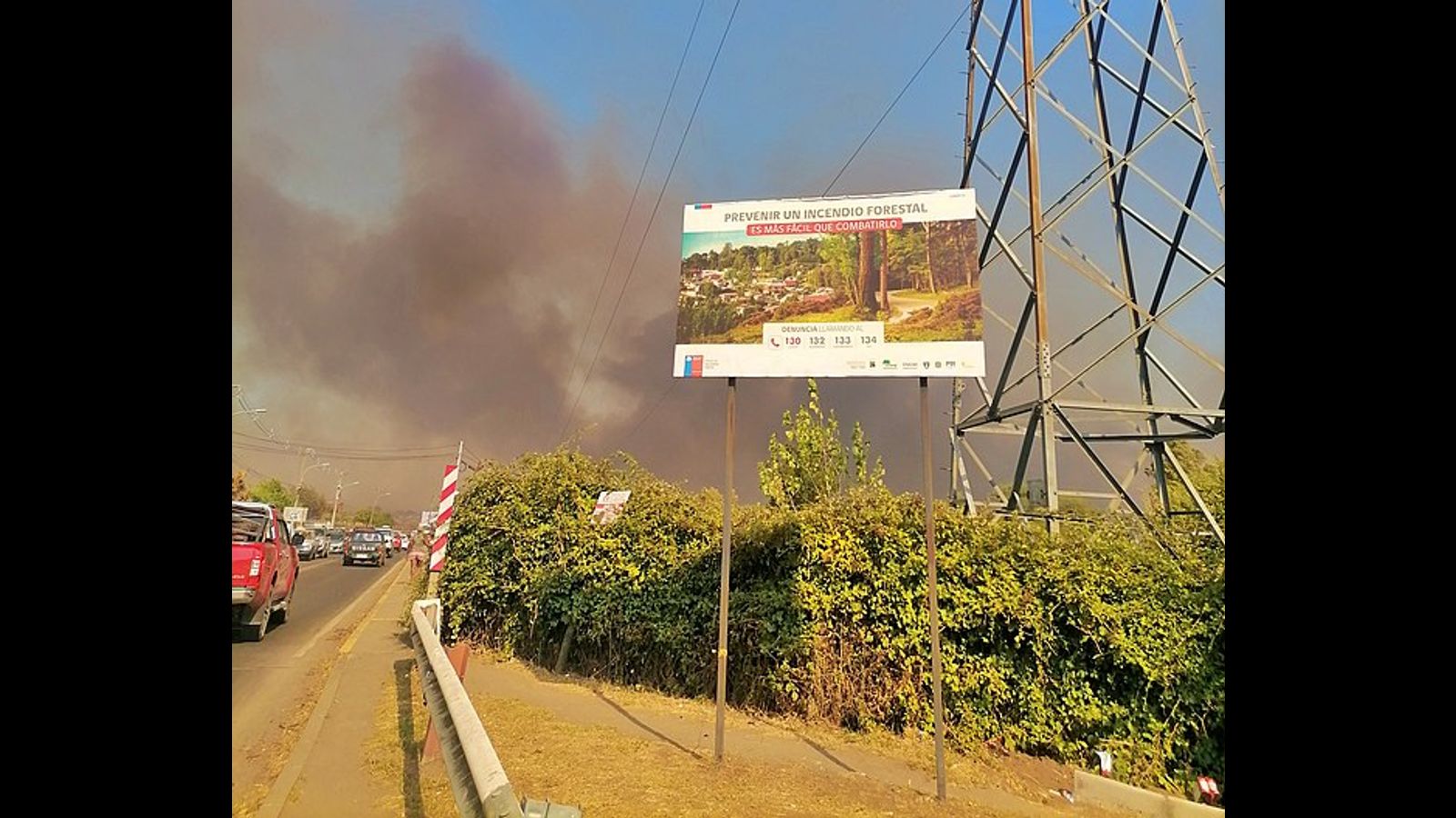 Forest fires kill at least 26 in Chile - World Socialist Web Site